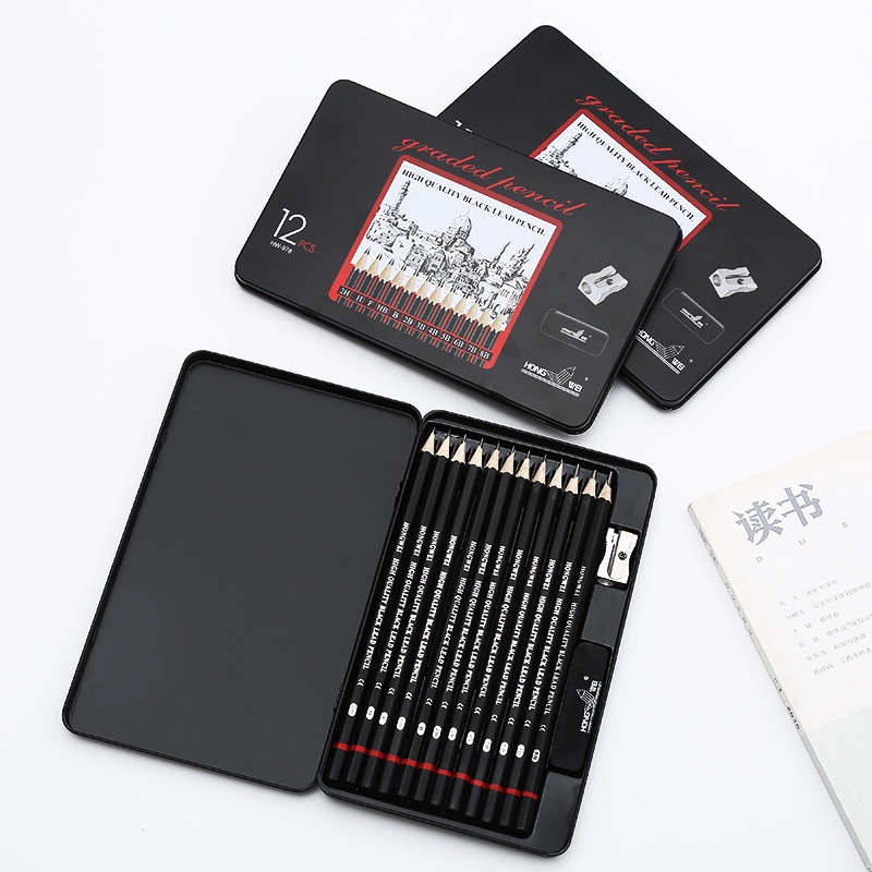 Sketching Pencils, 12 PCS Drawing Sketch Pencils Professional Set ...