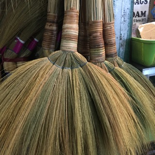 walis tambo - Best Prices and Online Promos - Mar 2023 | Shopee Philippines