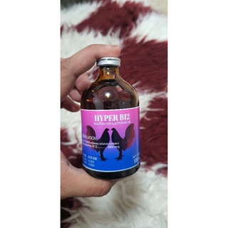 HYPER B12 INJ. 100ML | Shopee Philippines