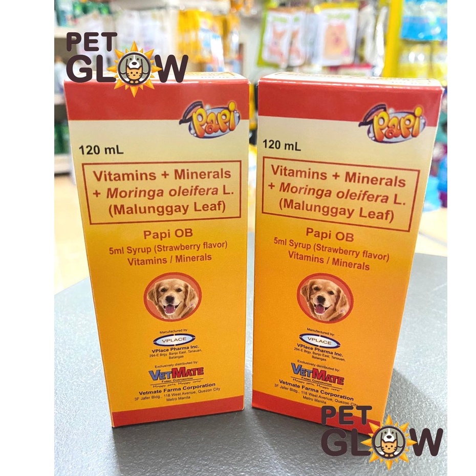 Papi OB Syrup Vitamins + Minerals 120ml | Shopee Philippines