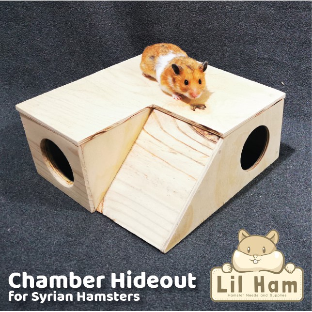 Chamber Hideout for Syrian Hamsters | Shopee Philippines