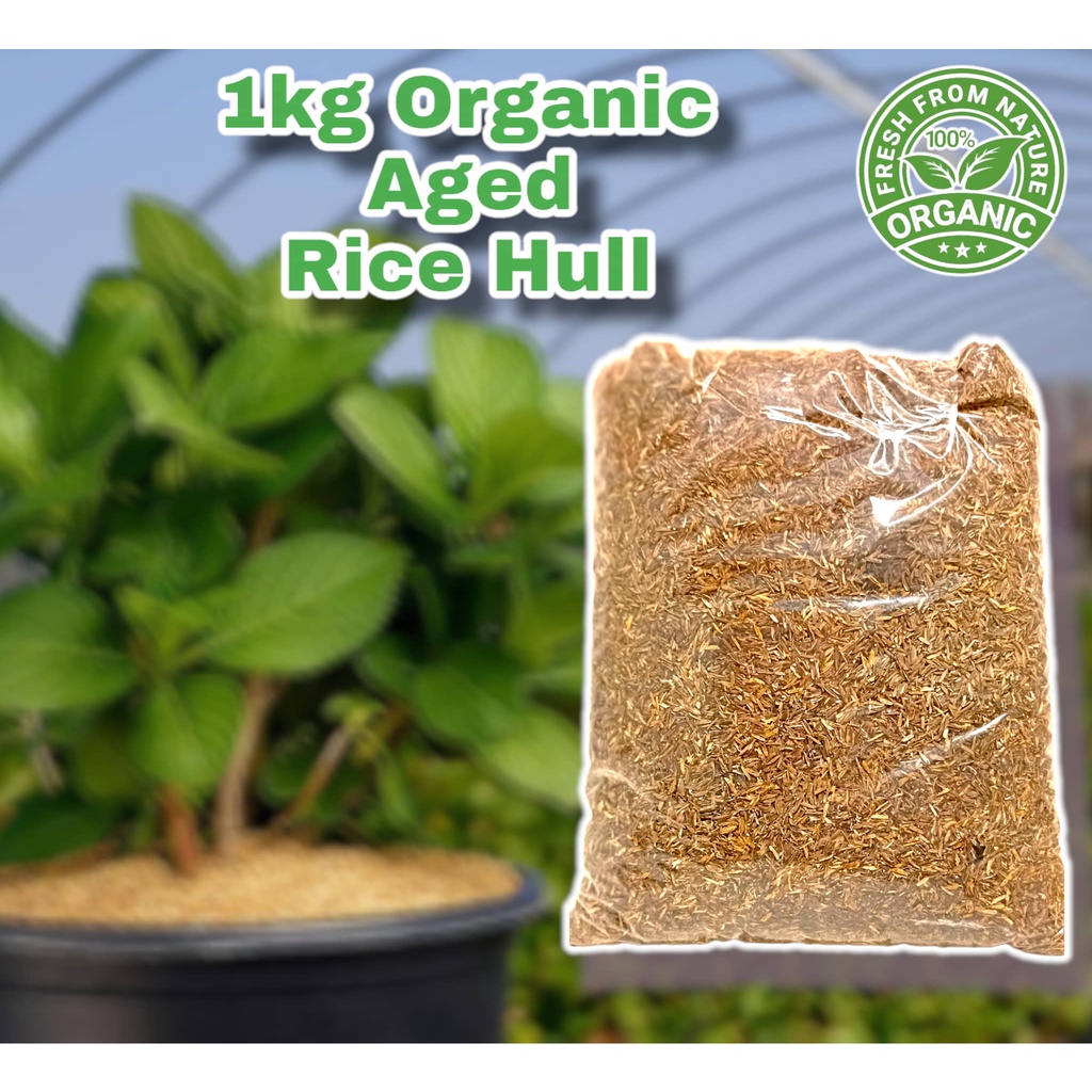 1 KILOGRAM PURE ORGANIC FRESH RICE HULL READY TO USE FOR PLANTS IPA ...