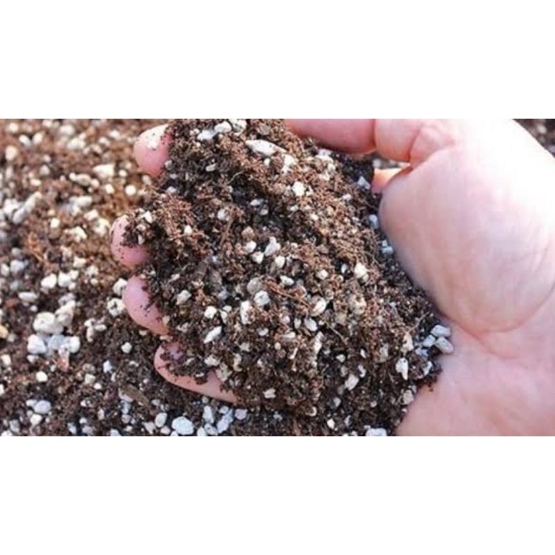 GHV Premium Cactus soilmix(1kg) | Shopee Philippines