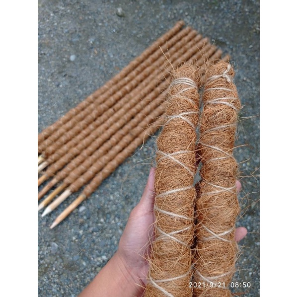 coco pole for plants / wood-based coco pole for climbing (60 inches ...