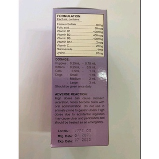 NEW PACKAGING PAPI IRON PLUS B COMPLEX Bion Plus 120ml | Shopee Philippines