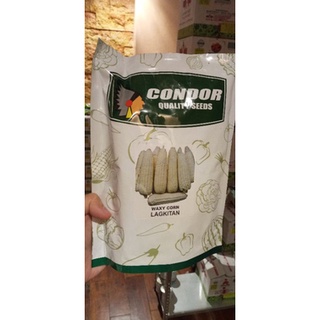 LAGKITAN CORN (KILO) WHITE WAXY CORN BY CONDOR SEEDS | Shopee Philippines
