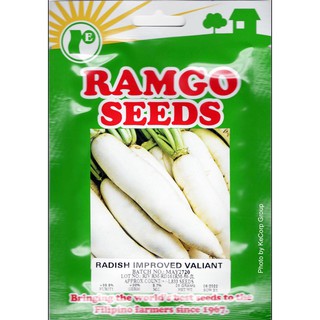 Ramgo Seeds - Pechay Pakchoi Eggplant Ampalaya Patola Upo Sitao Okra ...
