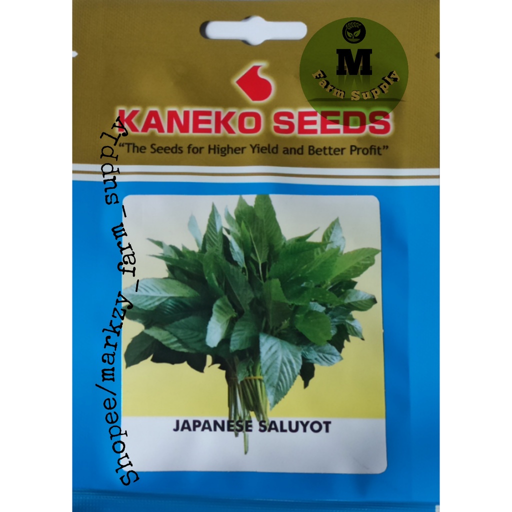 Japanese Saluyot (Jute) Kaneko High Quality Seeds | Shopee Philippines