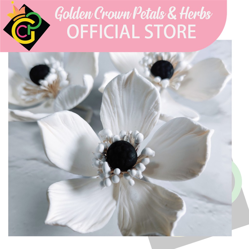 3pcs Anemone white|black center small Edible Cake Topper Gumpaste ...