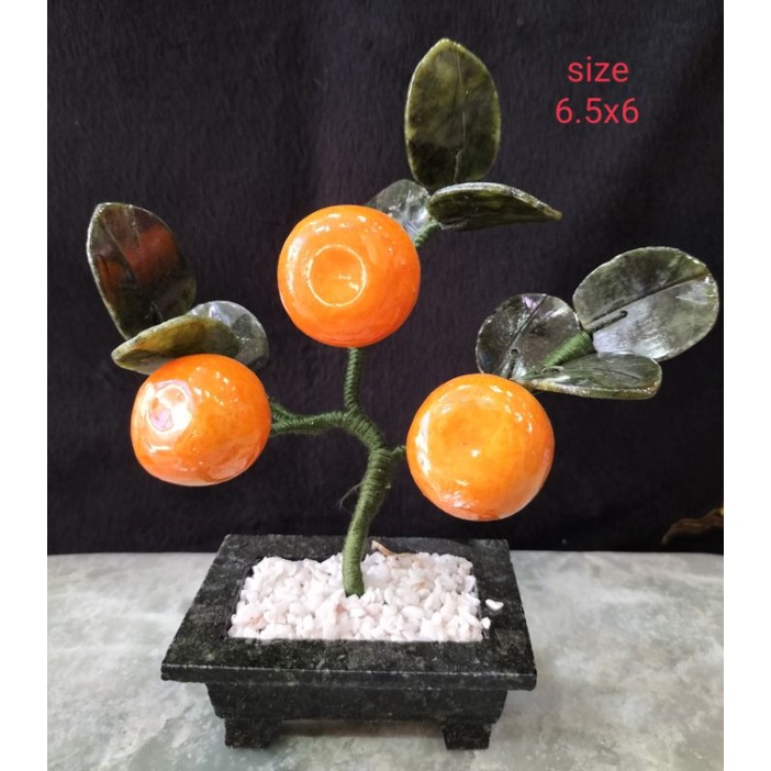 Kiat kiat orange Tree (3 fruits) | Shopee Philippines