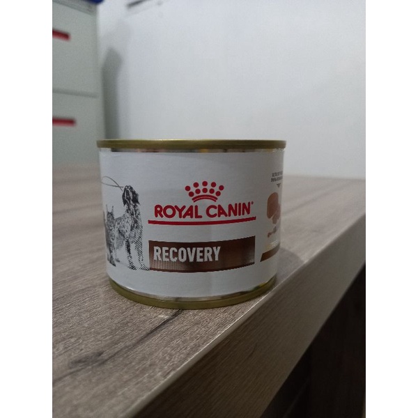 Royal canin recovery food 195g | Shopee Philippines