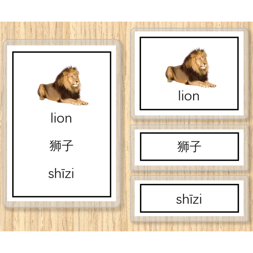 ANIMALS - 132 Language Cards Mandarin-Pinyin-English 4-Part Cards ...