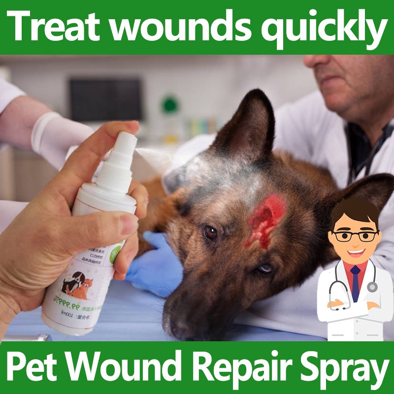 Pet Wound spray Heal wound spray For Antifungal and Antibacterial for ...