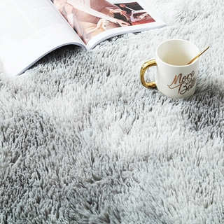 Decoration for Room / Furry Carpet / 120X80CM /carpet for Bedroom ...