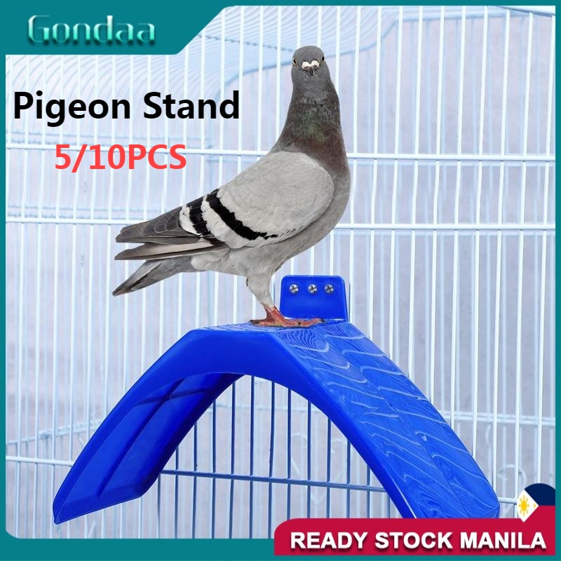 kalapati - Best Prices and Online Promos - Feb 2023 | Shopee Philippines