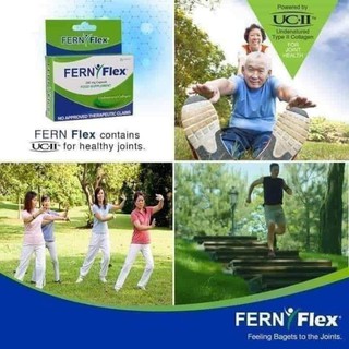 ♾ FERN FLEX (Undenatured Collagen) 10 Capsules/ 30 Capsules | Shopee ...