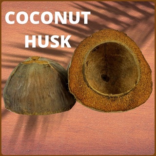 [HASH7] Multipurpose Bunot Brush / Lampaso Bao / Coconut Husk Manual ...