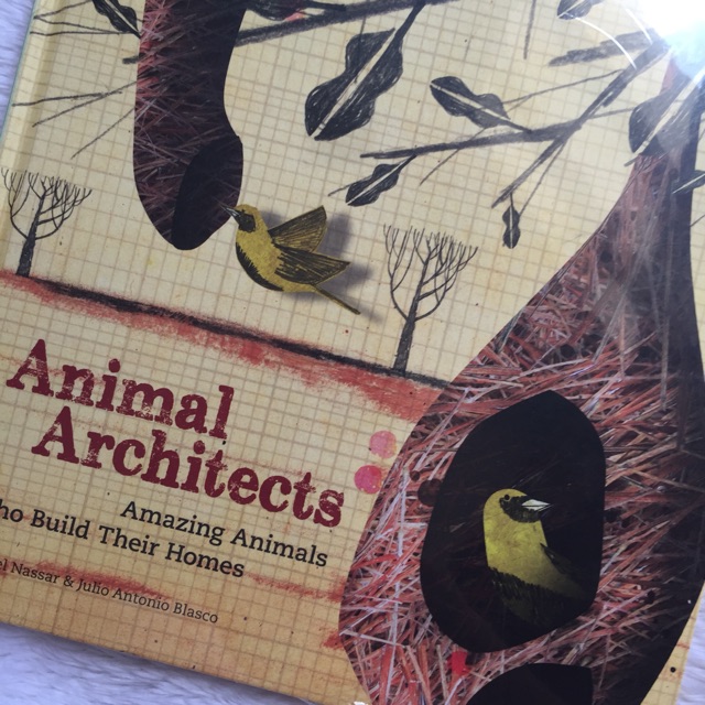 Animal Architects Book | Shopee Philippines