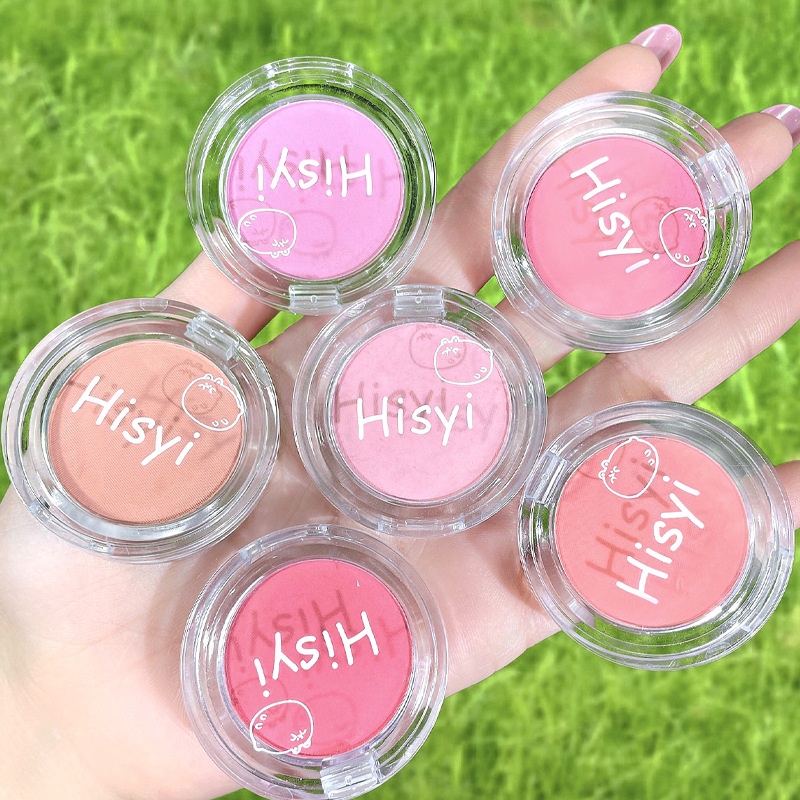 HISYI 6 Shades of Blush Long Lasting Matte Face Makeup | Shopee Philippines