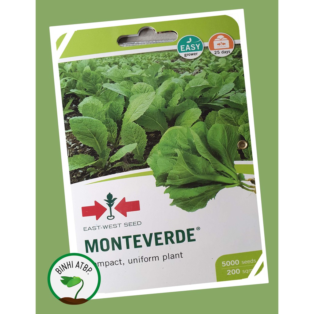 East-west Mustard Monteverde (Mustasa) Seeds (1 Pack - 5,000 Seeds ...