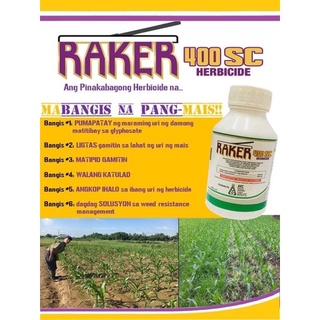 AVC 250 ml RAKER 400 SC Herbicide for Corn | Shopee Philippines