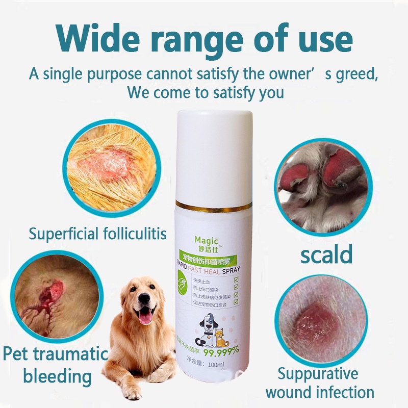 How Can I Heal My Dogs Wound Fast