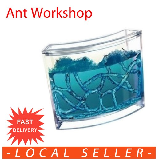Blue Gel Ant Farm Ant Workshop Educational Toys | Shopee Philippines