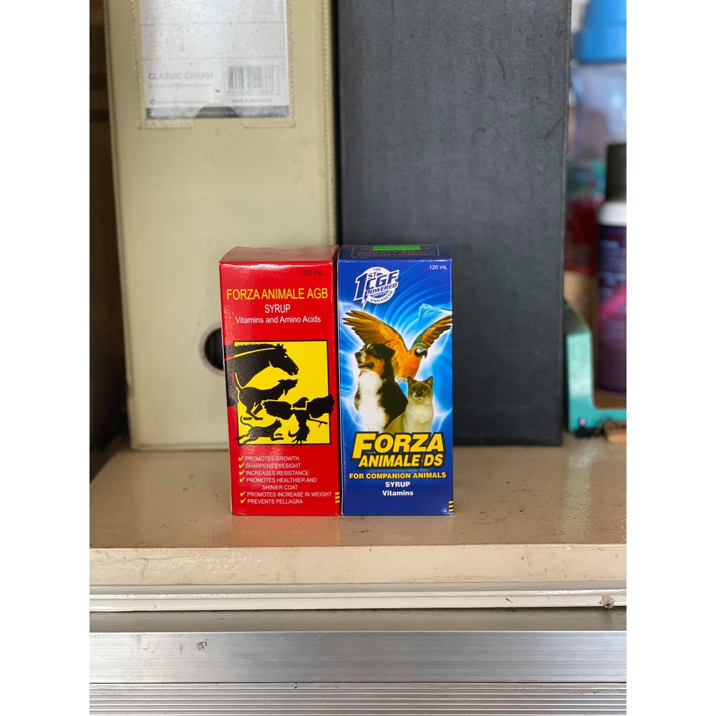 Forza Animale DS Syrup 120ml (Forza Blue) | Shopee Philippines