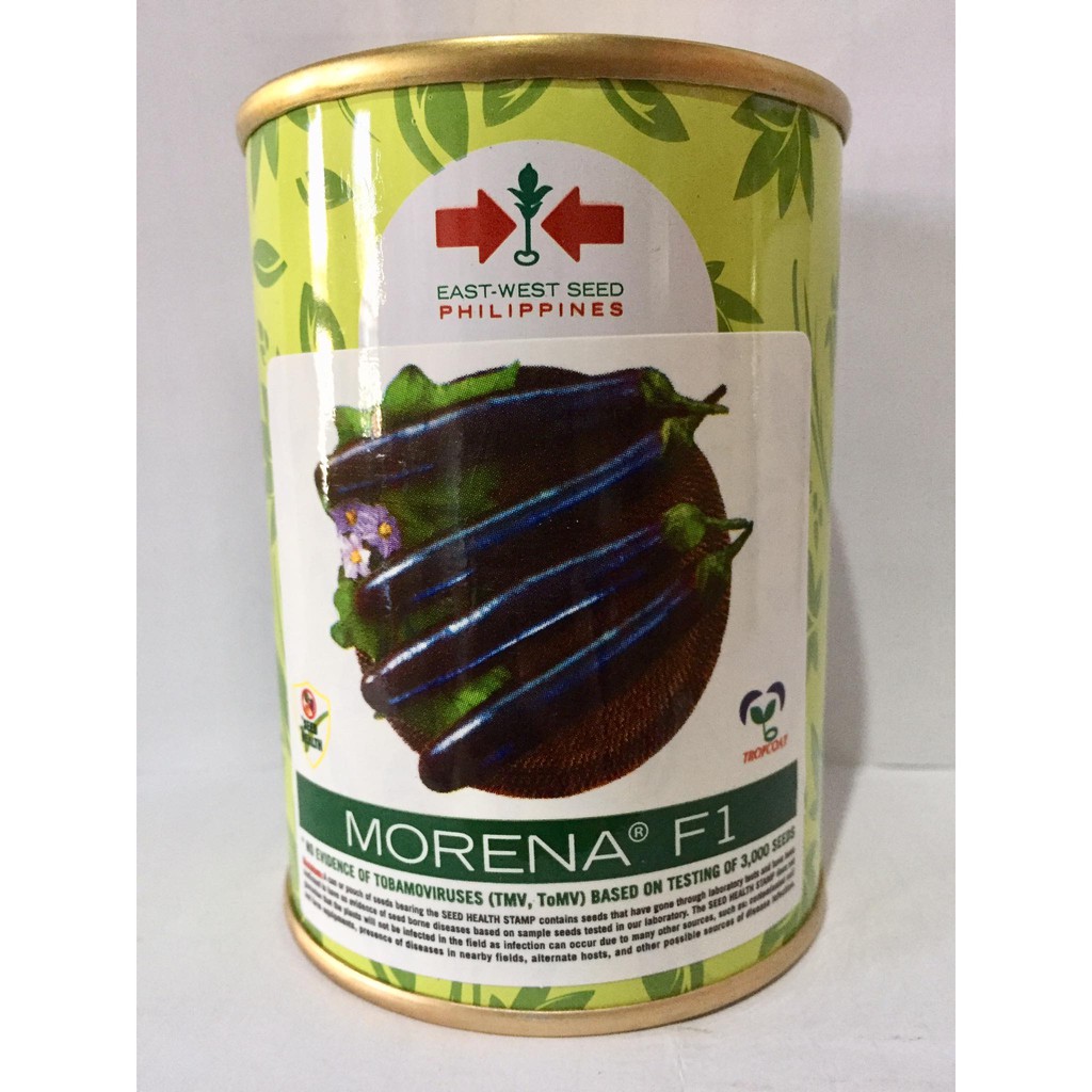 Eggplant Morena talong F1 East West Seeds 50 gms | Shopee Philippines