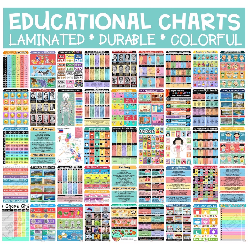Laminated Educational Wall Charts for Kids - A4 BEST QUALITY ORIGINAL ...