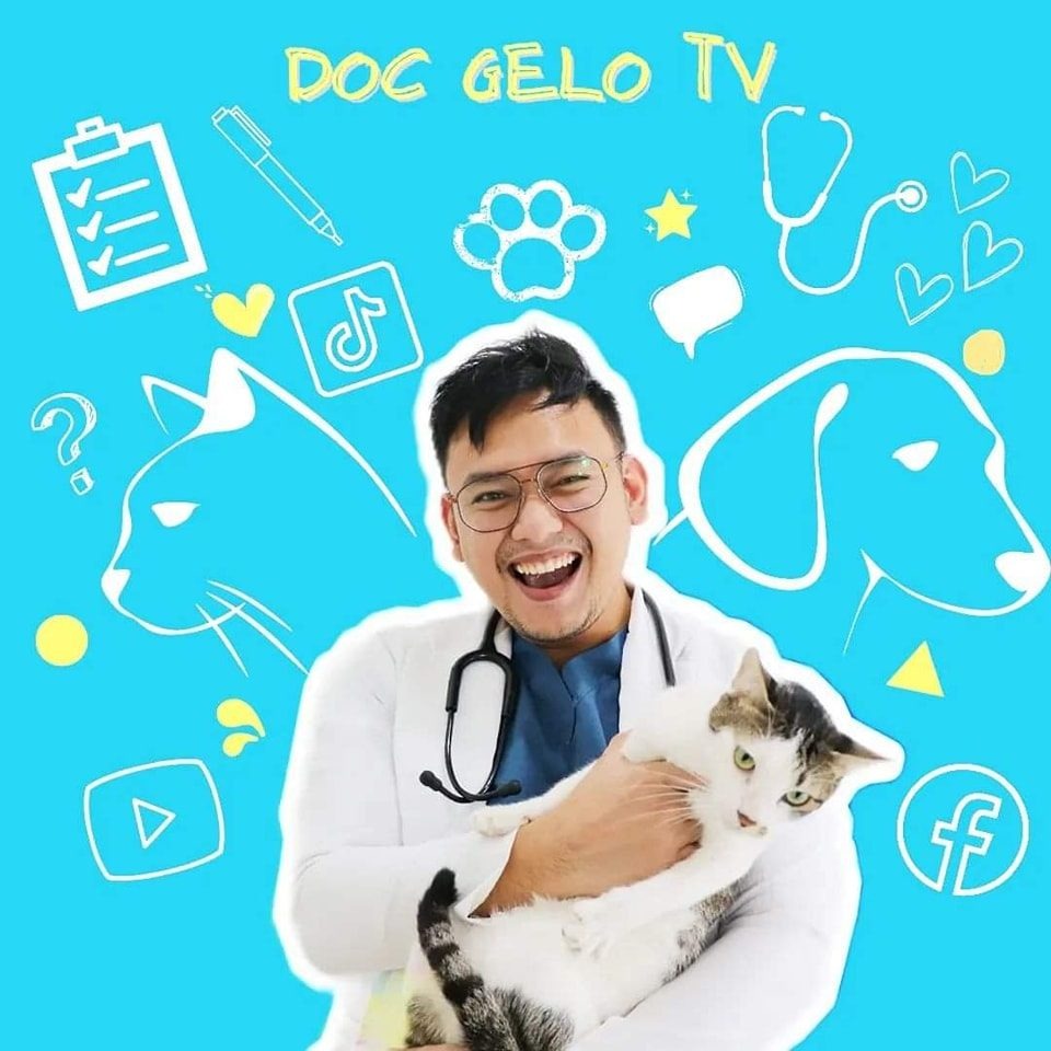 Doc Gelo TV Shop, Online Shop | Shopee Philippines