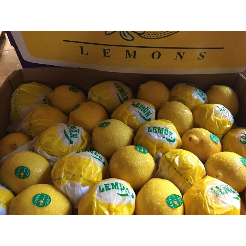 Lemon fresh fruit fruits lemon 1 kg kilo approx 7 to 10 pcs | Shopee ...