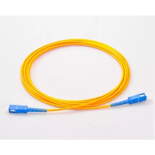Fiber Optic Patch Cord/Cable PLDT Compatible SC-UPC to UPC Blue ...