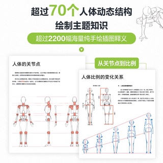 Human Body Structure Principles And Painting Teaching Xiao Weichun Chun ...