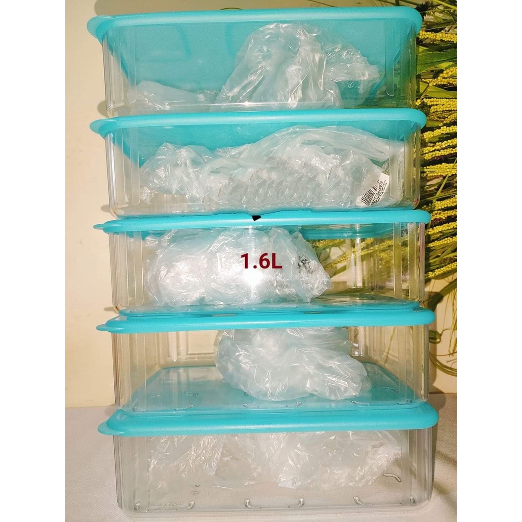 Tupperware Compact Fresh Clear Set | Shopee Philippines