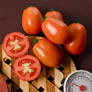 TOMATO AVATAR SEEDS BY CONDOR SMALL CAN (460SEEDS) | Shopee Philippines