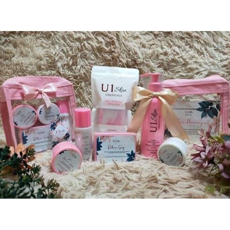 For reseller's package ( GOGO EXPRESS COURIER LANG) | Shopee Philippines