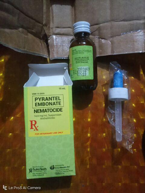 Nematocide (Liquid Dewormer for Dogs and Cats) | Shopee Philippines Nematocide (Liquid Dewormer for Dogs and Cats) | Shopee Philippines