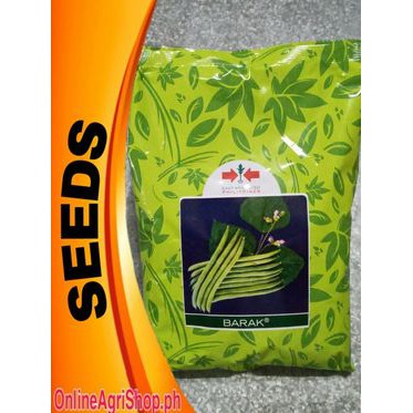 BARAK SNAP BEANS (KILO) BAGUIO BEANS SEEDS BY EAST WEST SEEDS | Shopee ...
