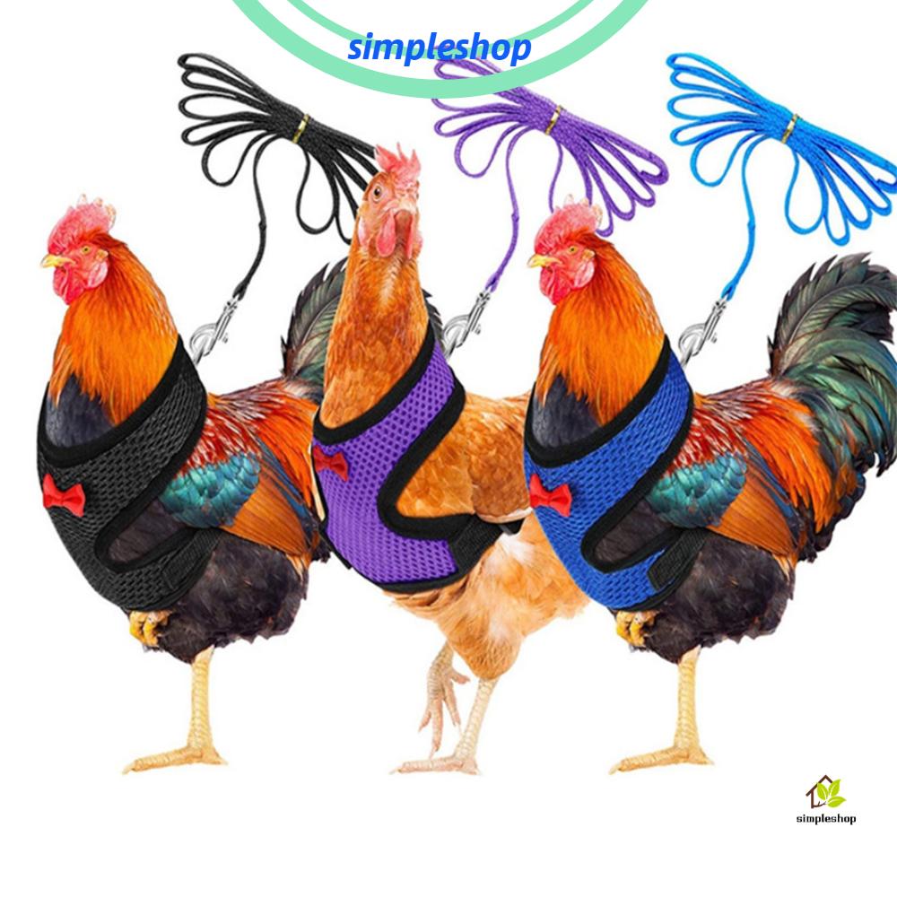 SIMPLE Best Gift Chicken Vest Nylon Harness Hen Belt Training Walking ...