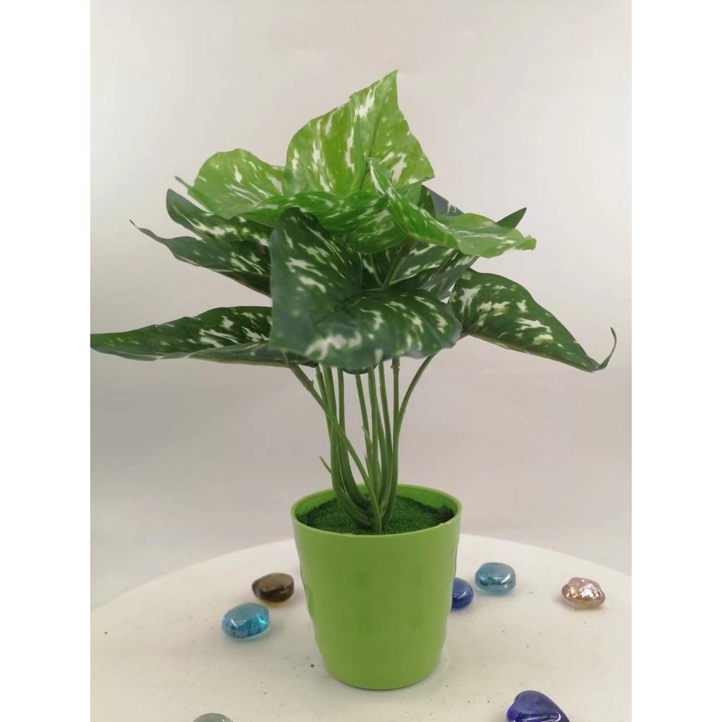 Artificial Bonsai Gabi Leaves Ornamental Bonsai Plant Random Design ...