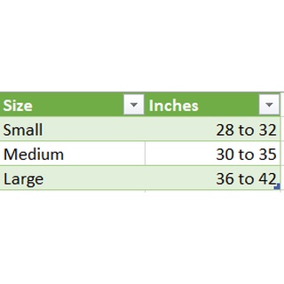 Waist Garter/Tuck In | Shopee Philippines