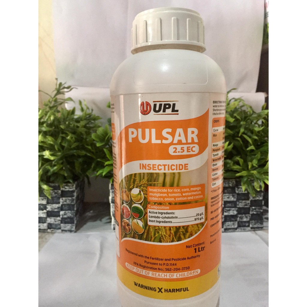 Pulsar 250 ml, 500ml, Lit SP | Shopee Philippines