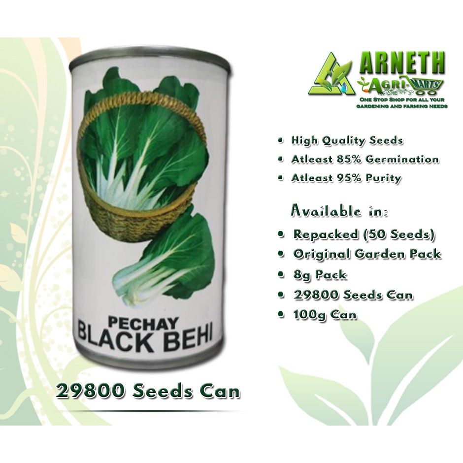 BLACK BEHI PECHAY SEEDS BY CONDOR SMALL CAN (29,800 SEEDS) | Shopee ...