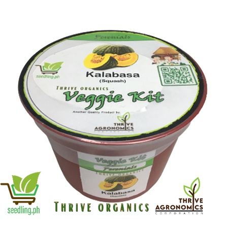 Kalabasa Squash Veggie Kit Grow Kit Seedling Kit Starter Kit Planting ...