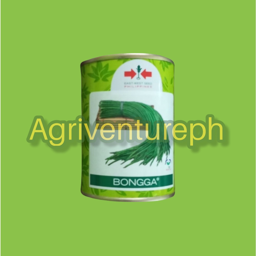 BONGGA OPEN POLLINATED VARIETY SITAW SEEDS 100 GRAMS OR 600 SEEDS (EAST ...