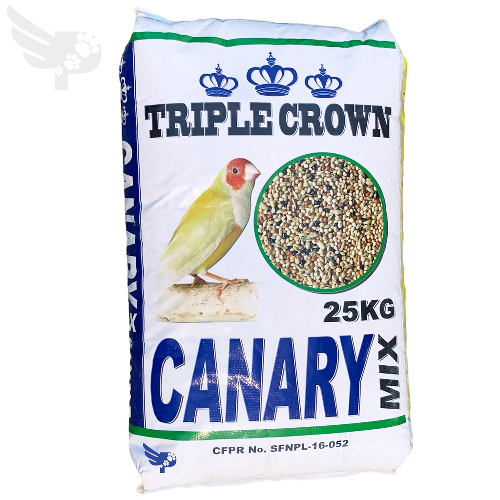 Bird Seeds: Canary Mix (1kg REPACKED) | Shopee Philippines