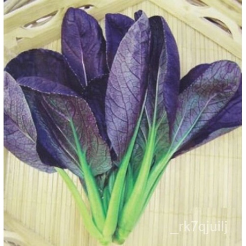 High quality seeds 400 Komatsuna seeds, ruby/red leaves, hybrid F1 ...