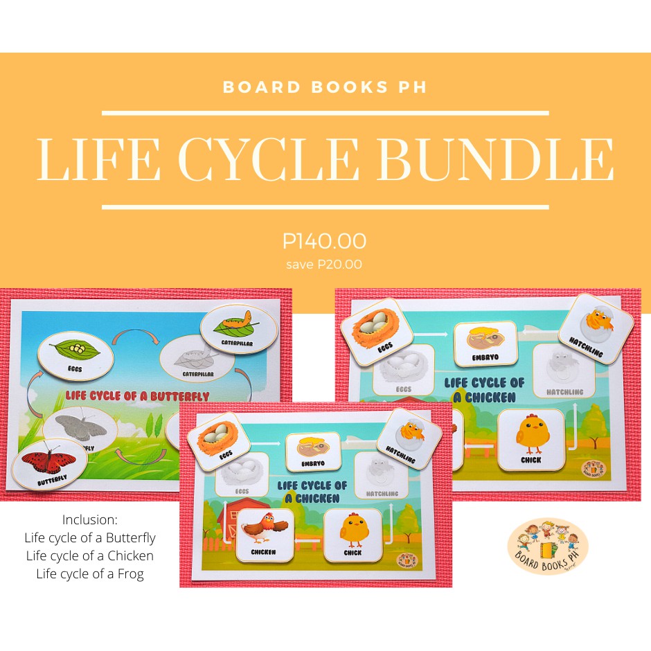 Life cycle bundle (Busy boards) | Shopee Philippines