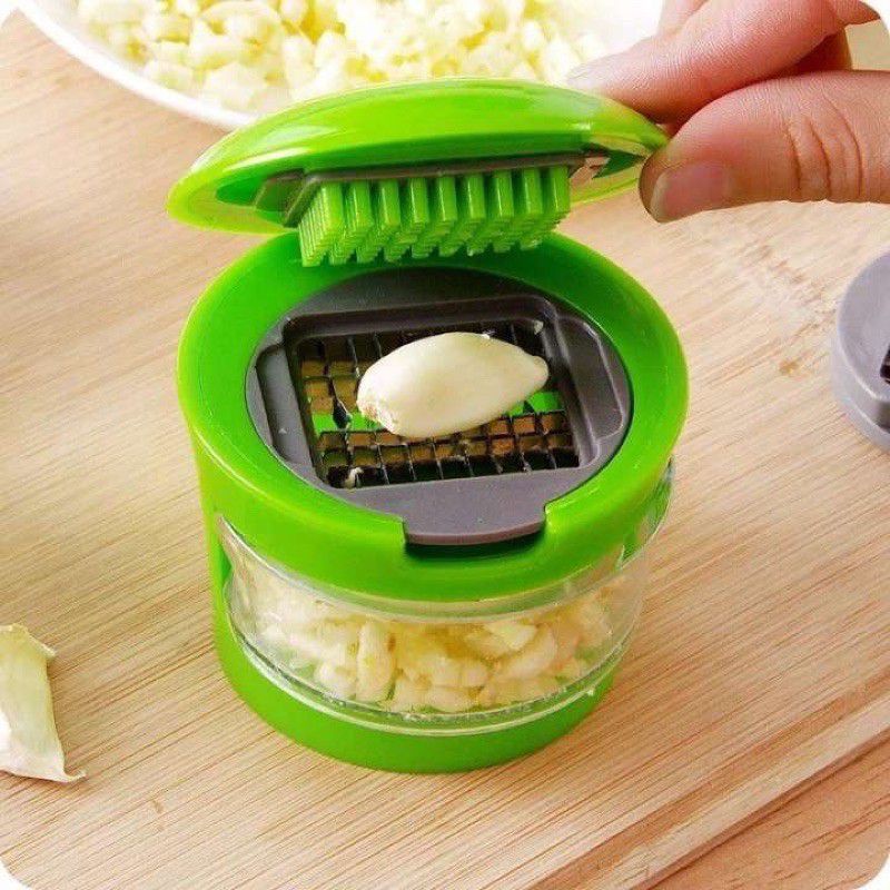 Mini Garlic Press with Stainless Steel Blades and Inbuilt Clear Plastic ...